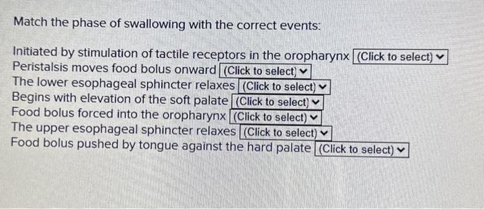 Solved Match the phase of swallowing with the correct | Chegg.com