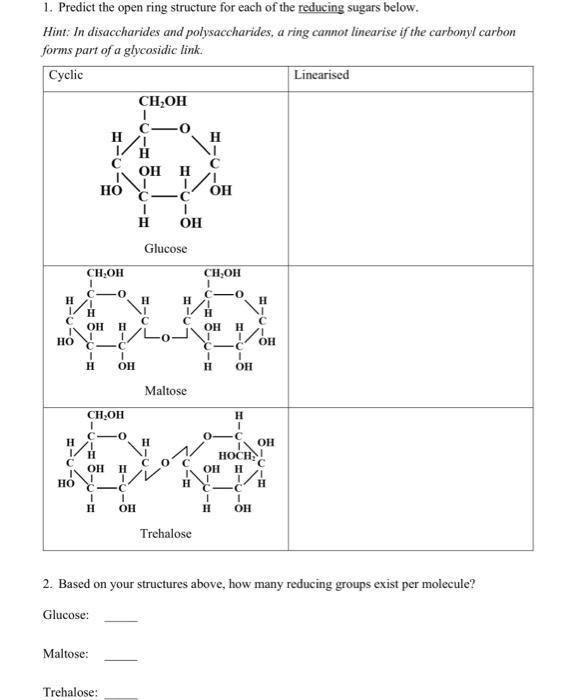 Solved 1. Predict the open ring structure for each of the | Chegg.com