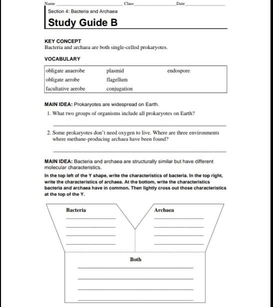 Solved Name Class Date Section 4: Bacteria and Archaea Study | Chegg.com