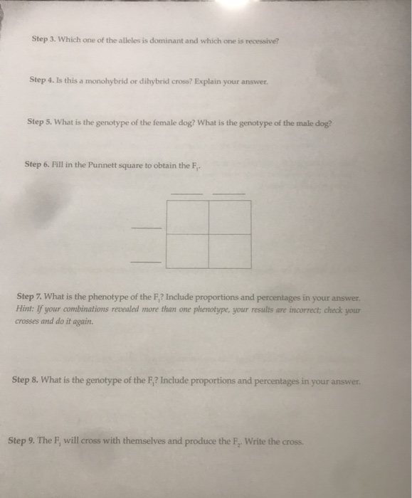 Solved EXERCISE 3. GENETICS PROBLEM SOLVING, STEP BY STEP | Chegg.com