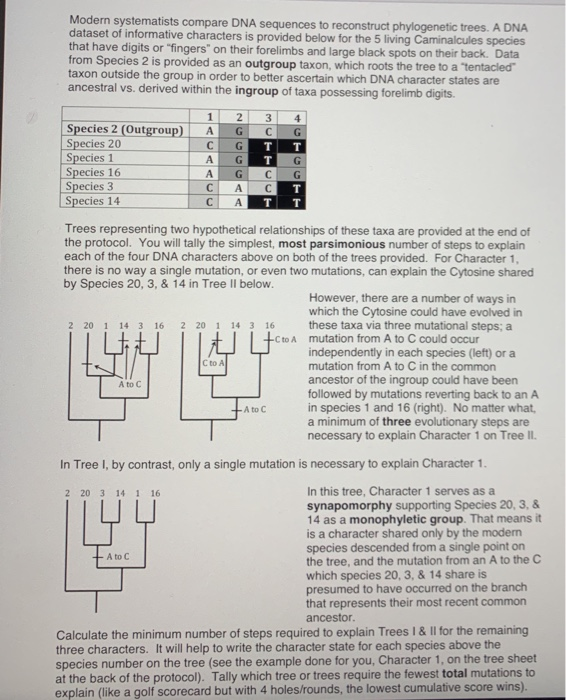 Solved Modern systematists compare DNA sequences to | Chegg.com