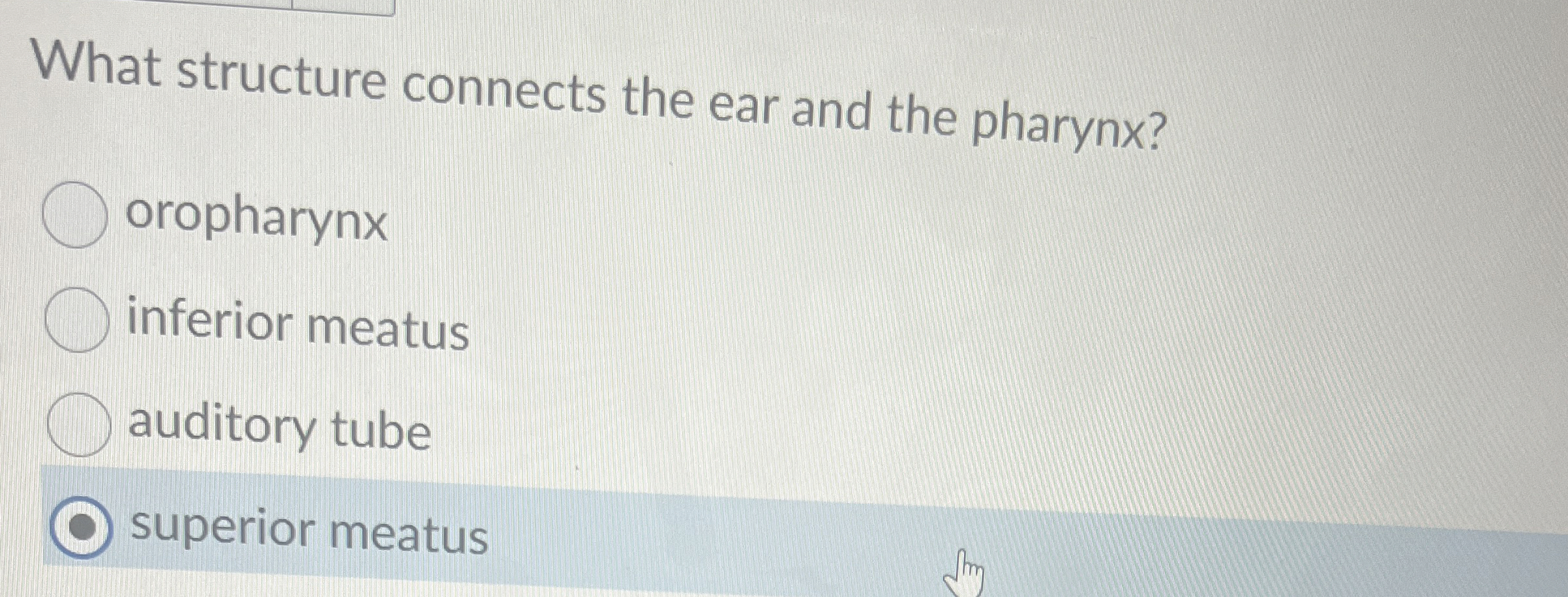 Solved What structure connects the ear and the | Chegg.com