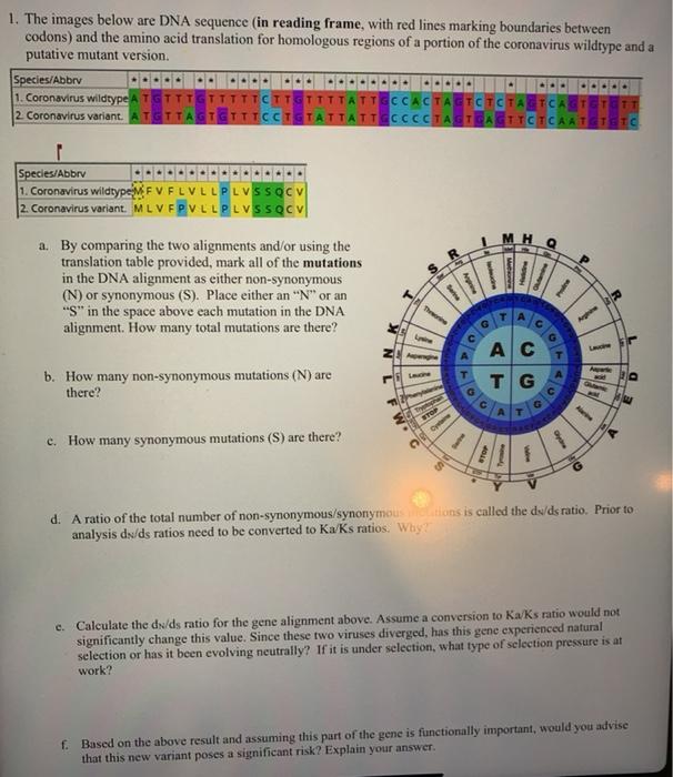 Solved 1. The images below are DNA sequence (in reading | Chegg.com