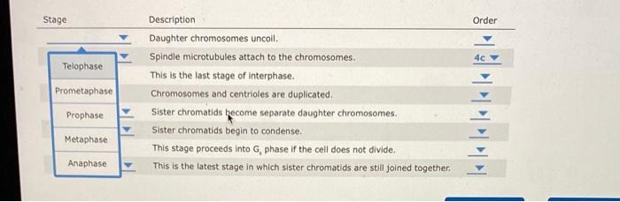 Solved The following table describes the life cyde of a | Chegg.com