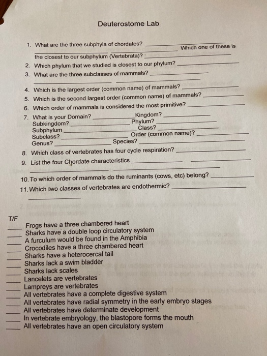 Solved Deuterostome Lab Which one of these is 1. What are | Chegg.com
