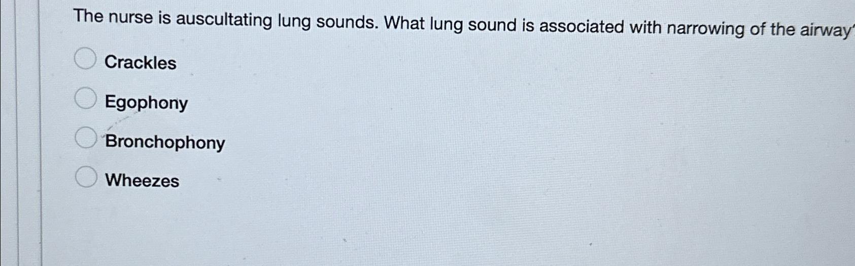 Solved The nurse is auscultating lung sounds. What lung | Chegg.com
