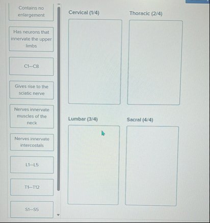 Solved Contains no enlargementHas neurons that innervate the | Chegg.com
