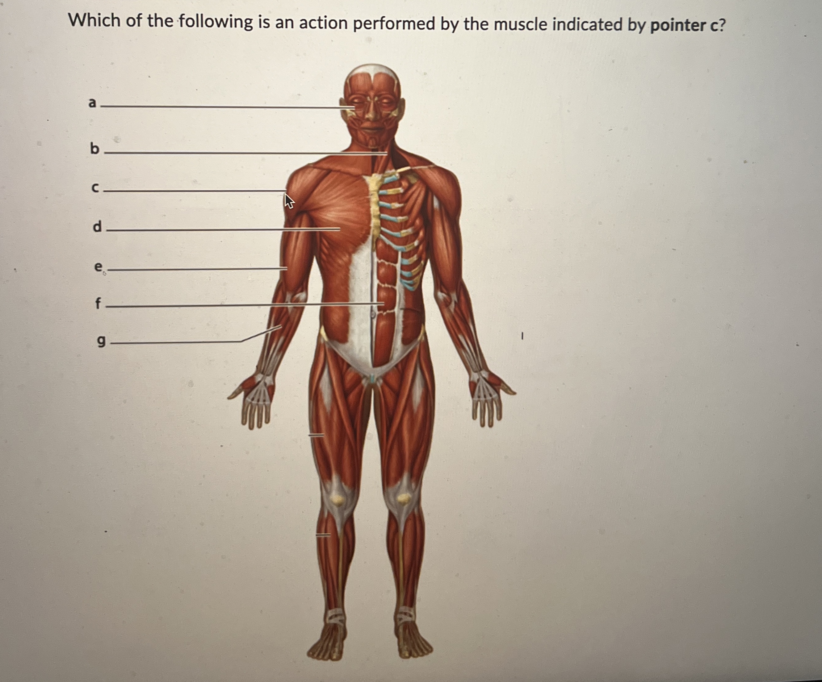 Solved Which of the following is an action performed by the | Chegg.com
