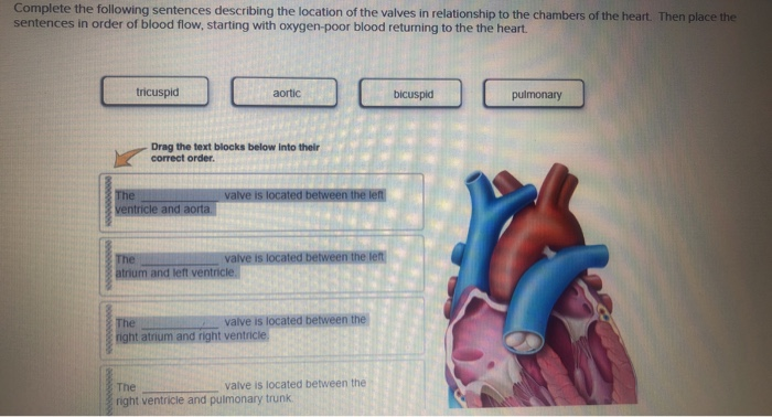 Solved Complete the following sentences describing the | Chegg.com