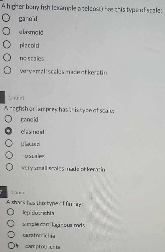 Solved A higher bony fish (example a teleost) has this type | Chegg.com