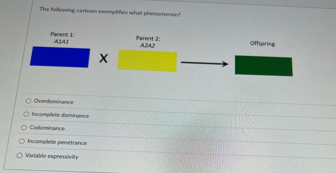 Solved The following cartoon exemplifies what | Chegg.com