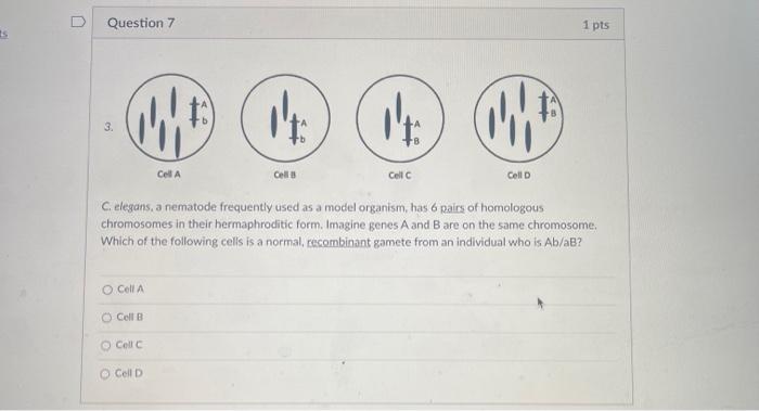 Solved Question 7 1 pts o't DE w 3. Cela Cell Cell Cell | Chegg.com