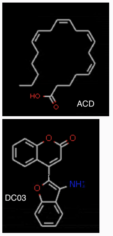 Solved Describe, in detail, 2 ﻿modifications that could be | Chegg.com