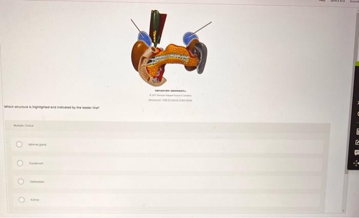 [Solved]: Which structure is highlighted and Indicated by th