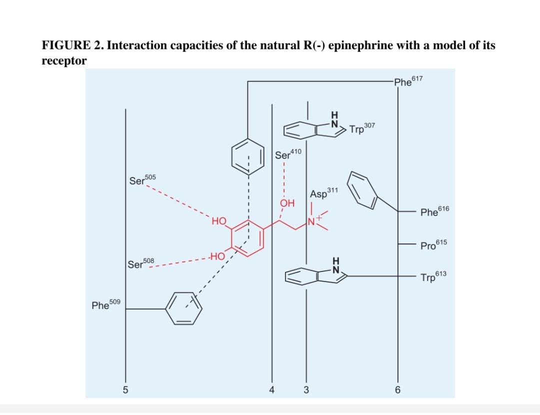Solved C. Use the three-point contact model to explain | Chegg.com