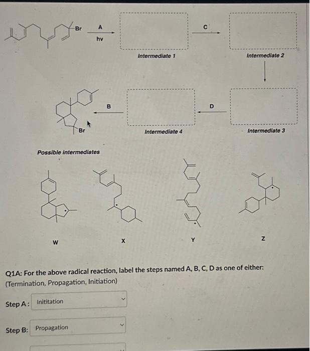 Solved hhA Intermediate 1 Intermediate 2 B D Intermediate 4 | Chegg.com