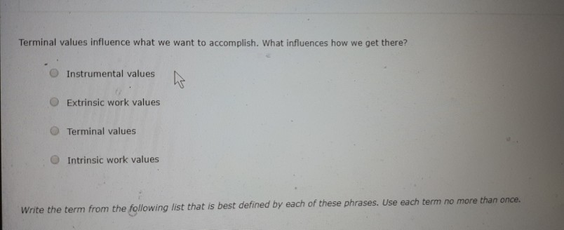Solved Terminal values influence what we want to accomplish. | Chegg.com