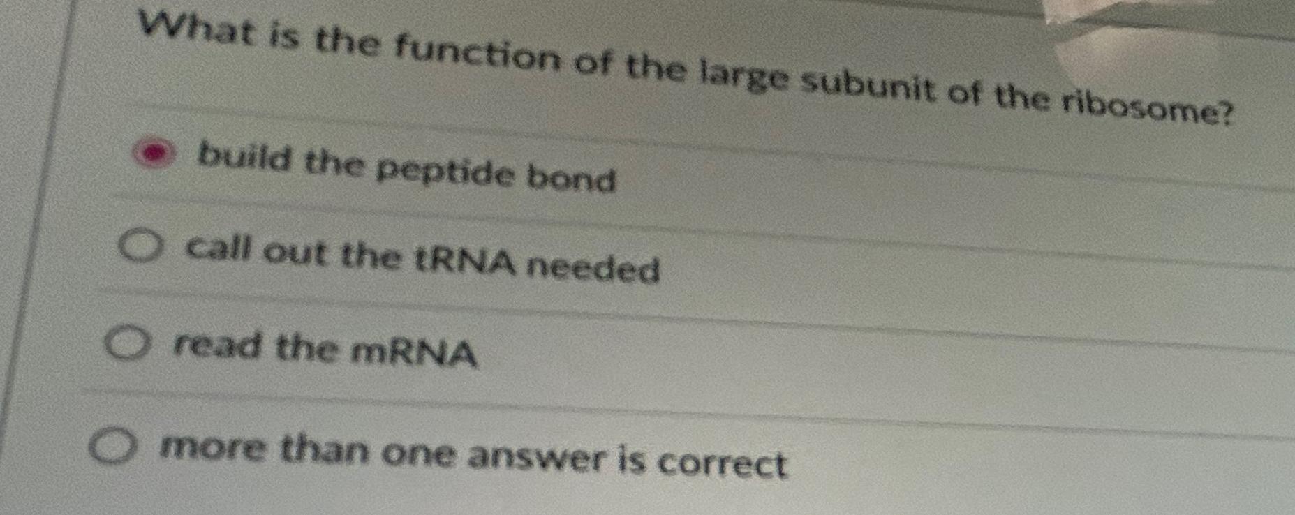 Solved What is the function of the large subunit of the | Chegg.com