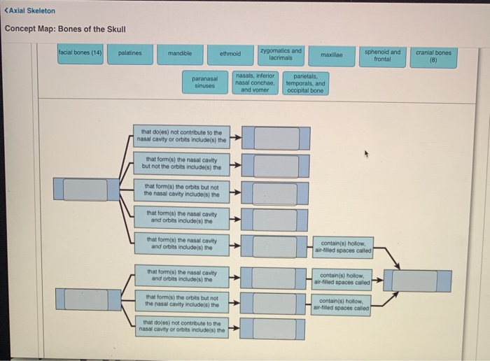 Concept Map Bones Of The Skull Part A Complete The Chegg