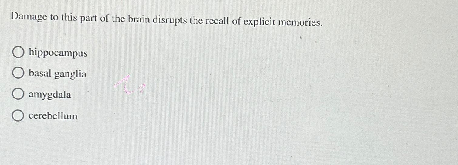 Solved Damage to this part of the brain disrupts the recall | Chegg.com