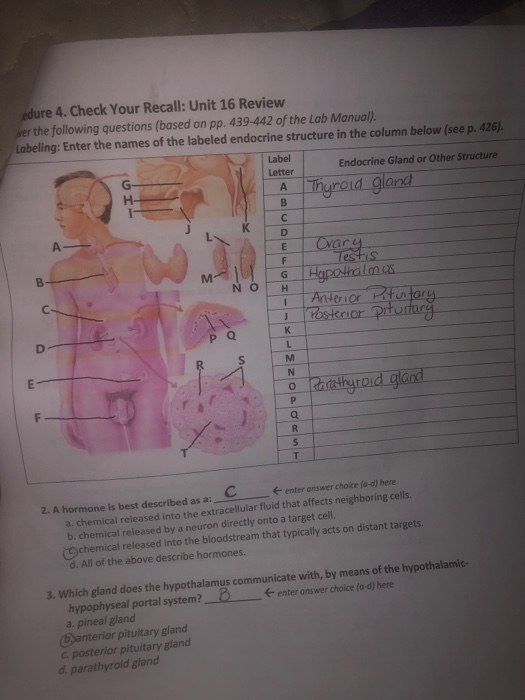 Solved dure 4. Check Your Recall: Unit 16 Review er the | Chegg.com