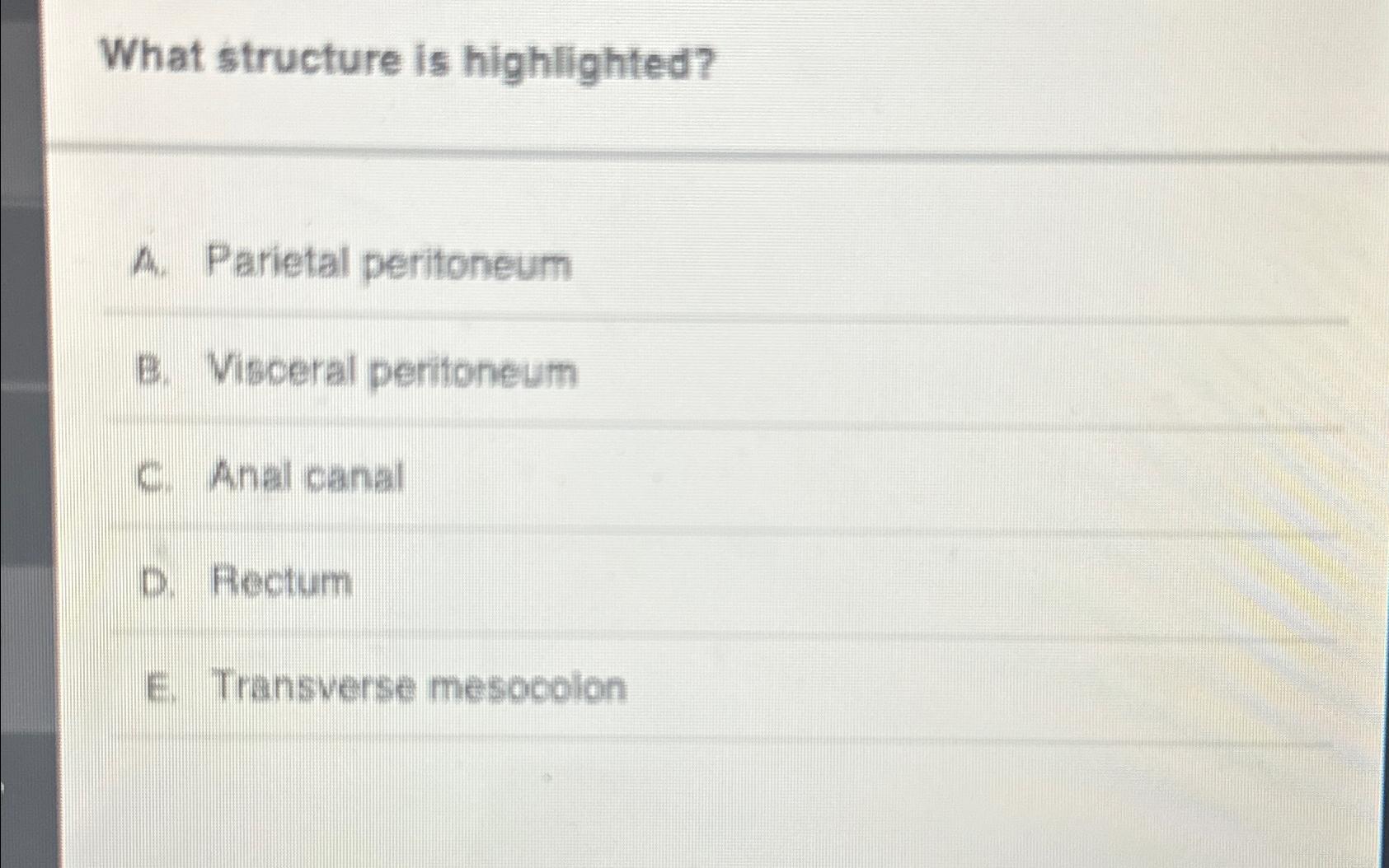 Solved What structure is highlighted?A. ﻿Parietal | Chegg.com
