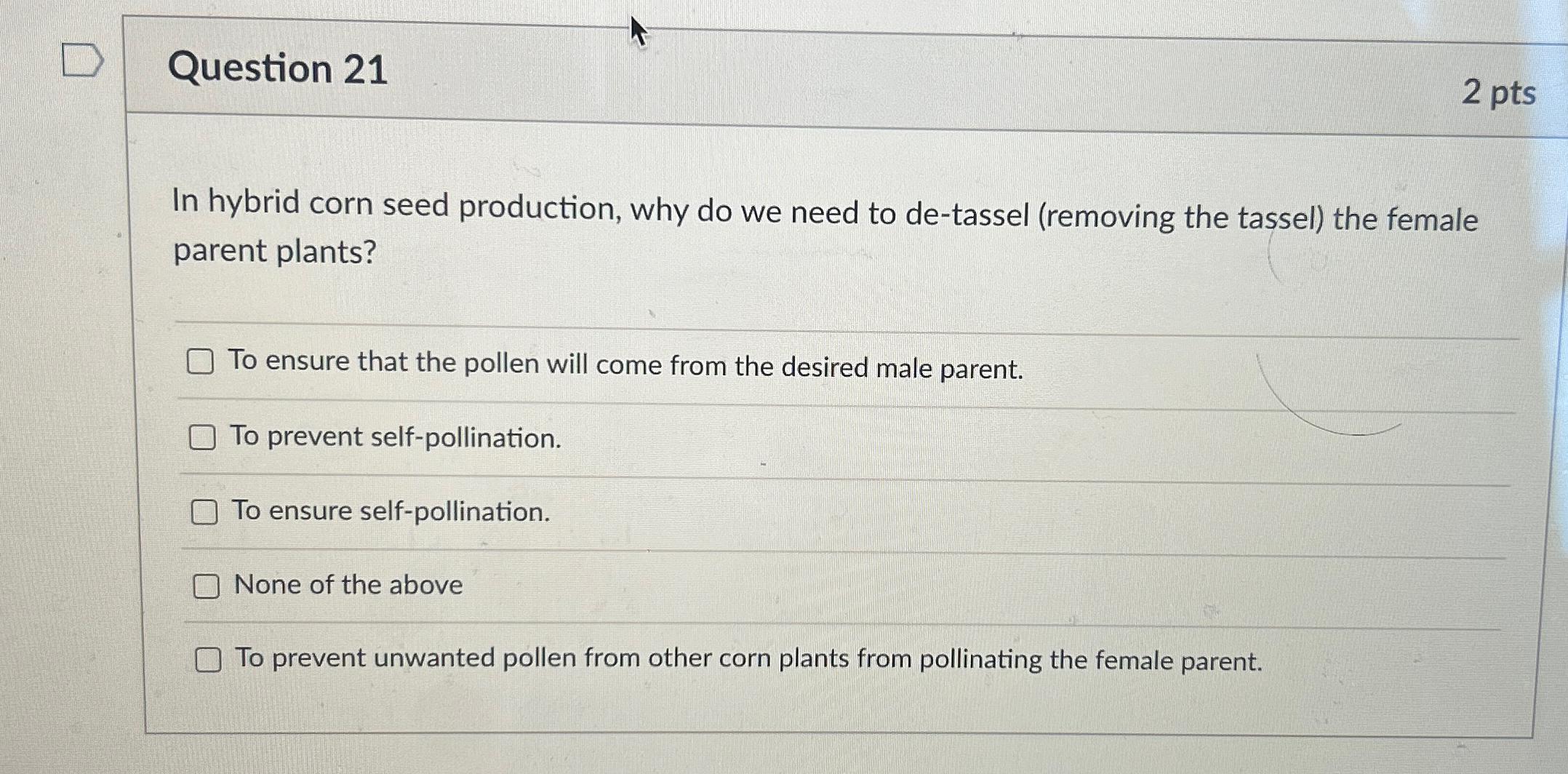 Solved Question 212 ﻿ptsIn hybrid corn seed production, why | Chegg.com