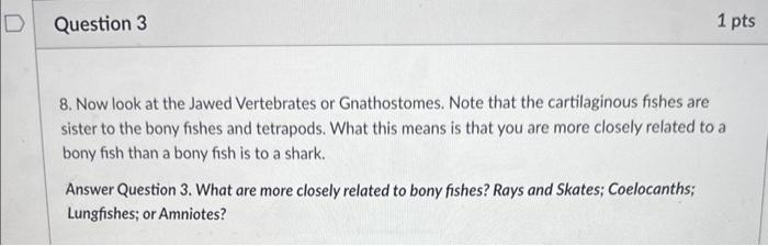 Solved 8. Now look at the Jawed Vertebrates or Gnathostomes. | Chegg.com
