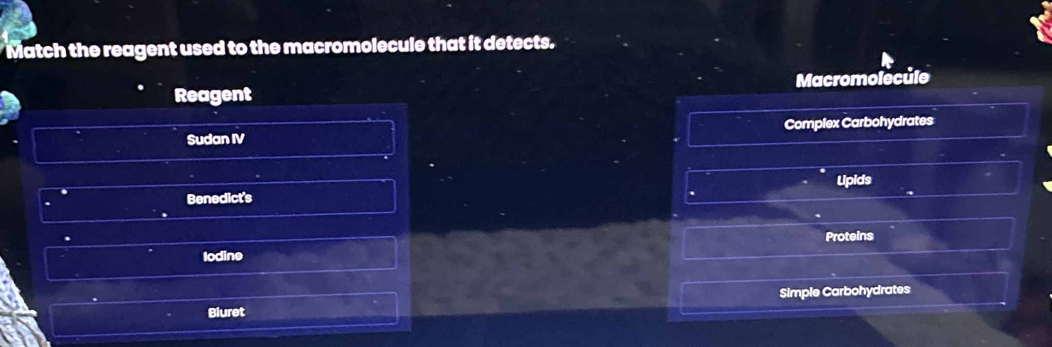 Solved Wratch the reagent used to the macromolecule that it | Chegg.com