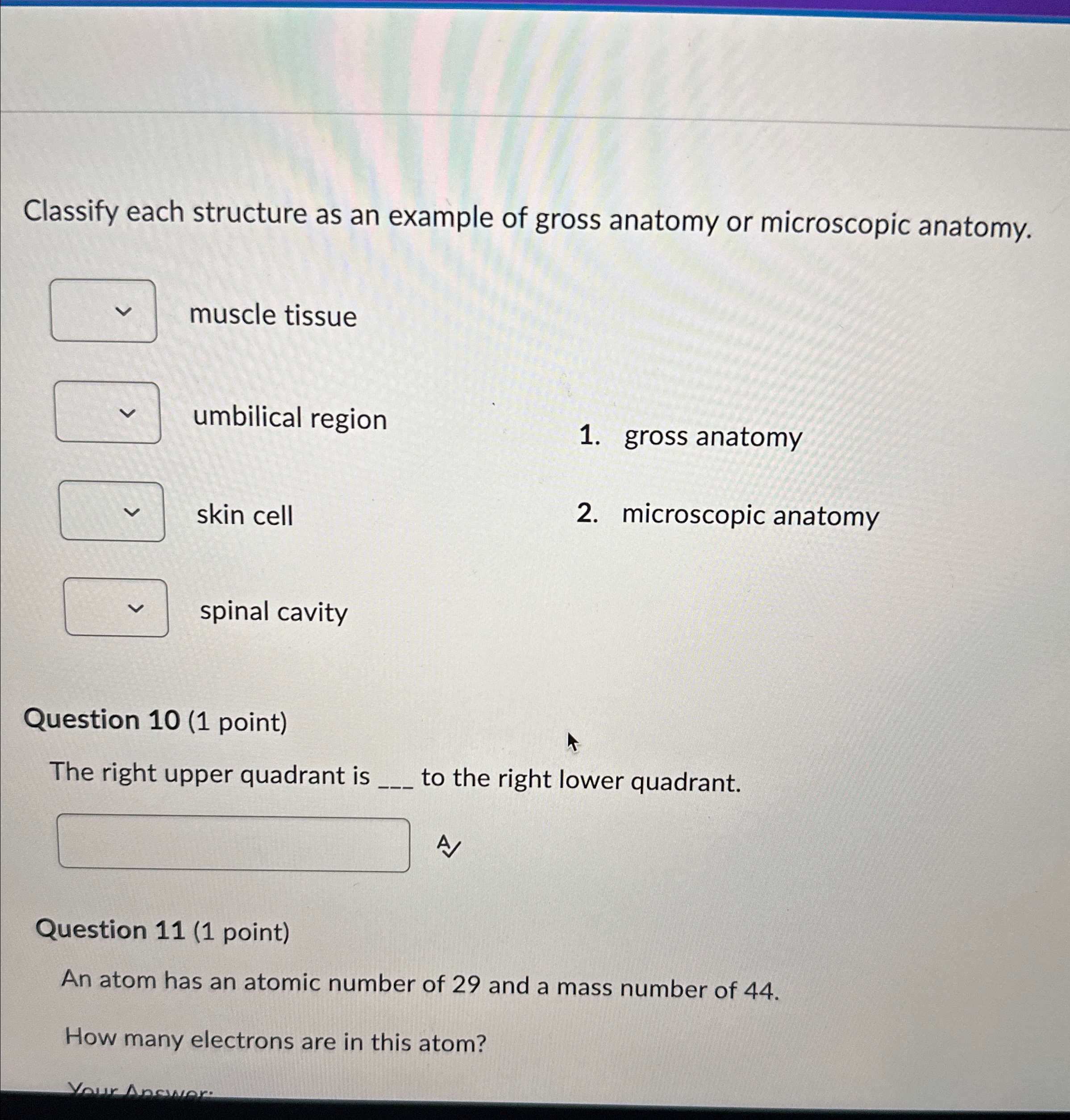 Solved Classify each structure as an example of gross | Chegg.com