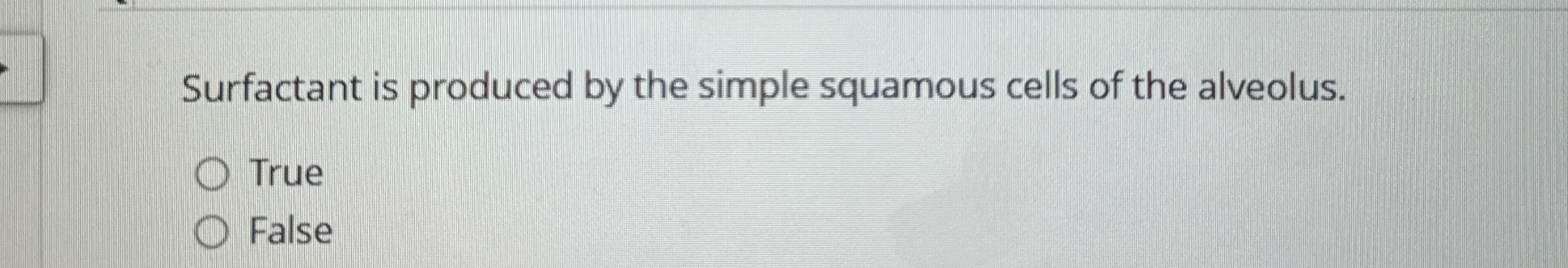 Solved Surfactant is produced by the simple squamous cells | Chegg.com