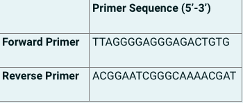 Solved Primers were designed to amplify the region of the | Chegg.com