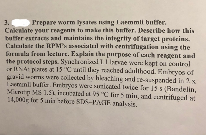 Solved 3. Prepare worm lysates using Laemmli buffer. | Chegg.com
