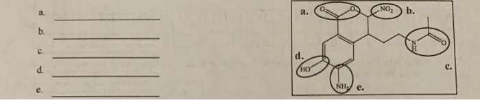 Solved Provide the name of the circled functional groups in | Chegg.com