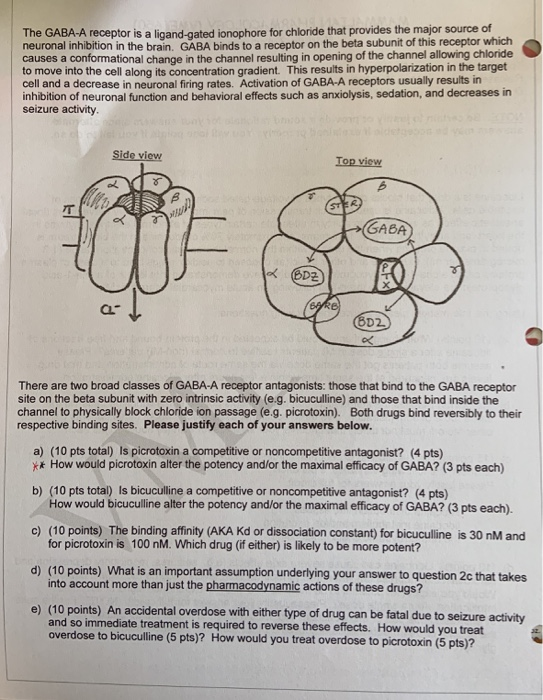 Solved C 10 Points The Binding Affinity Aka Kd Or