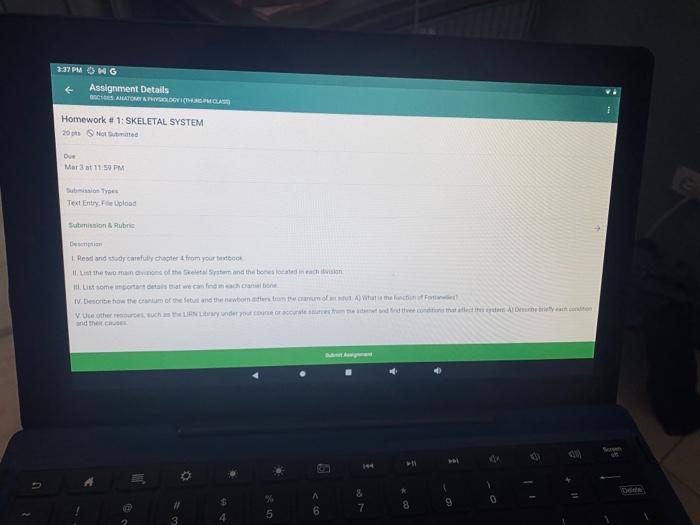 2:01 PM ONG Assignment Details Homework 1. SKELETAL | Chegg.com