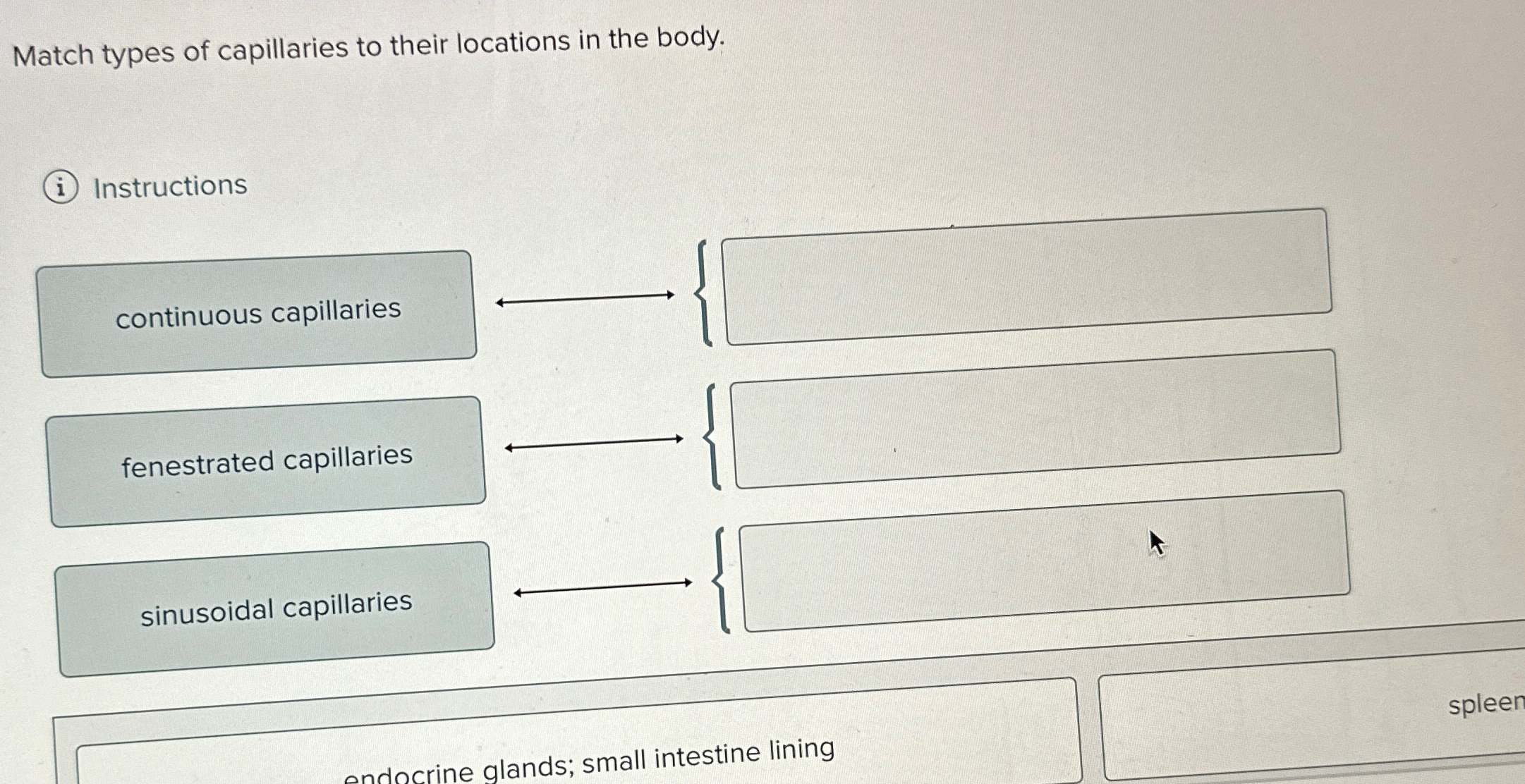 Solved Match types of capillaries to their locations in the | Chegg.com