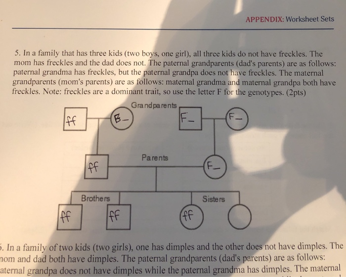 Solved APPENDIX: Worksheet Sets 5. In a family that has | Chegg.com
