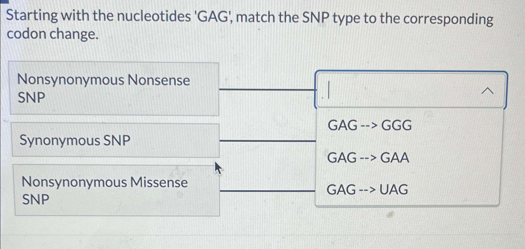 Solved Starting with the nucleotides 'GAG', match the SNP | Chegg.com