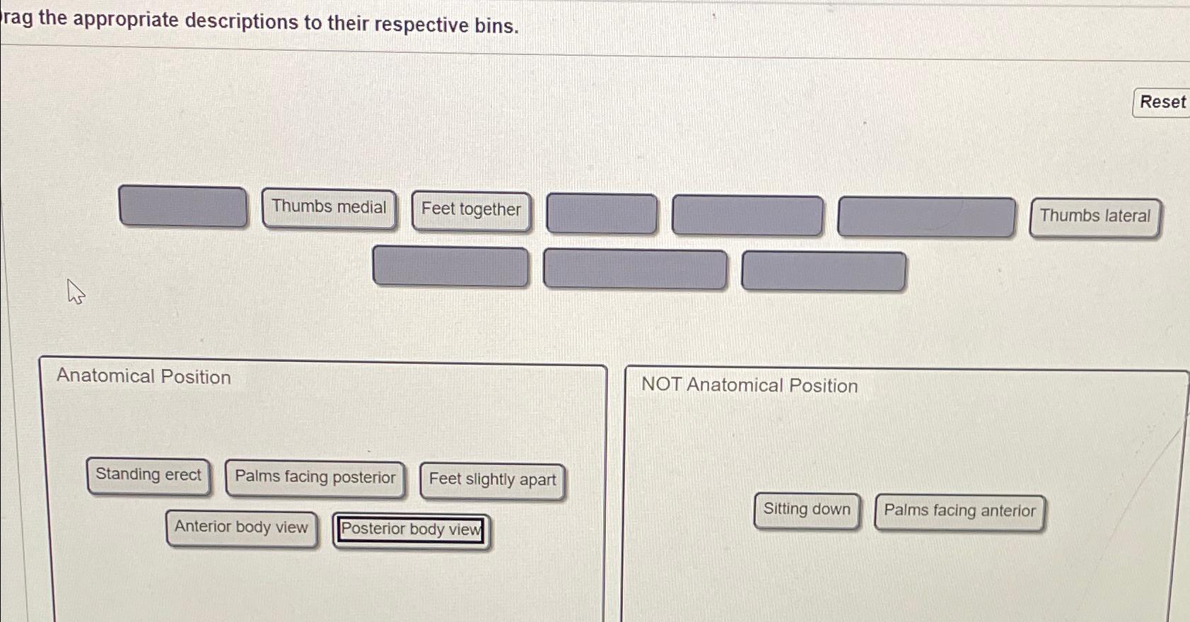 Solved rag the appropriate descriptions to their respective | Chegg.com