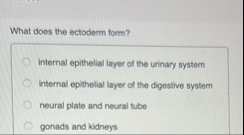 Solved What does the ectoderm form?internal epithelial layer | Chegg.com