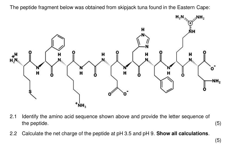 Solved The peptide fragment below was obtained from skipjack | Chegg.com