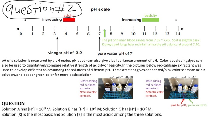 Solved Reading Buret Scales Reading the scales in buret can | Chegg.com