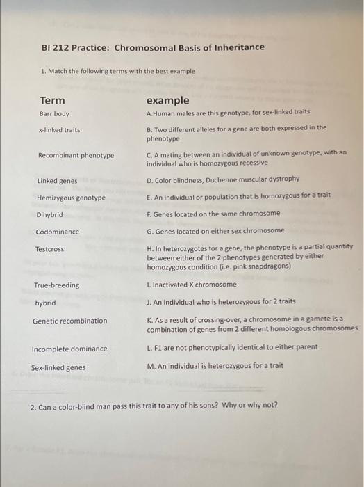 Solved BI 212 Practice: Chromosomal Basis of Inheritance 1. | Chegg.com