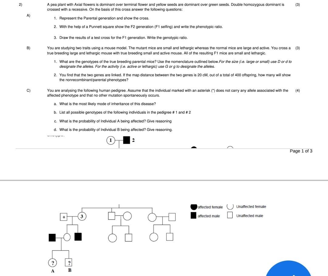 Solved 2) (3) A pea plant with Axial flowers dominant over | Chegg.com