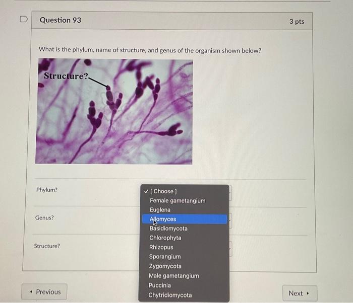 Solved What is the phylum, name of structure, and genus of | Chegg.com