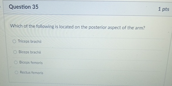 Solved Question 351 ﻿ptsWhich of the following is located on | Chegg.com
