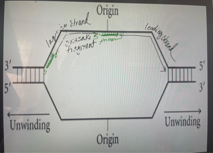 Solved I was not in class. I need help completing | Chegg.com