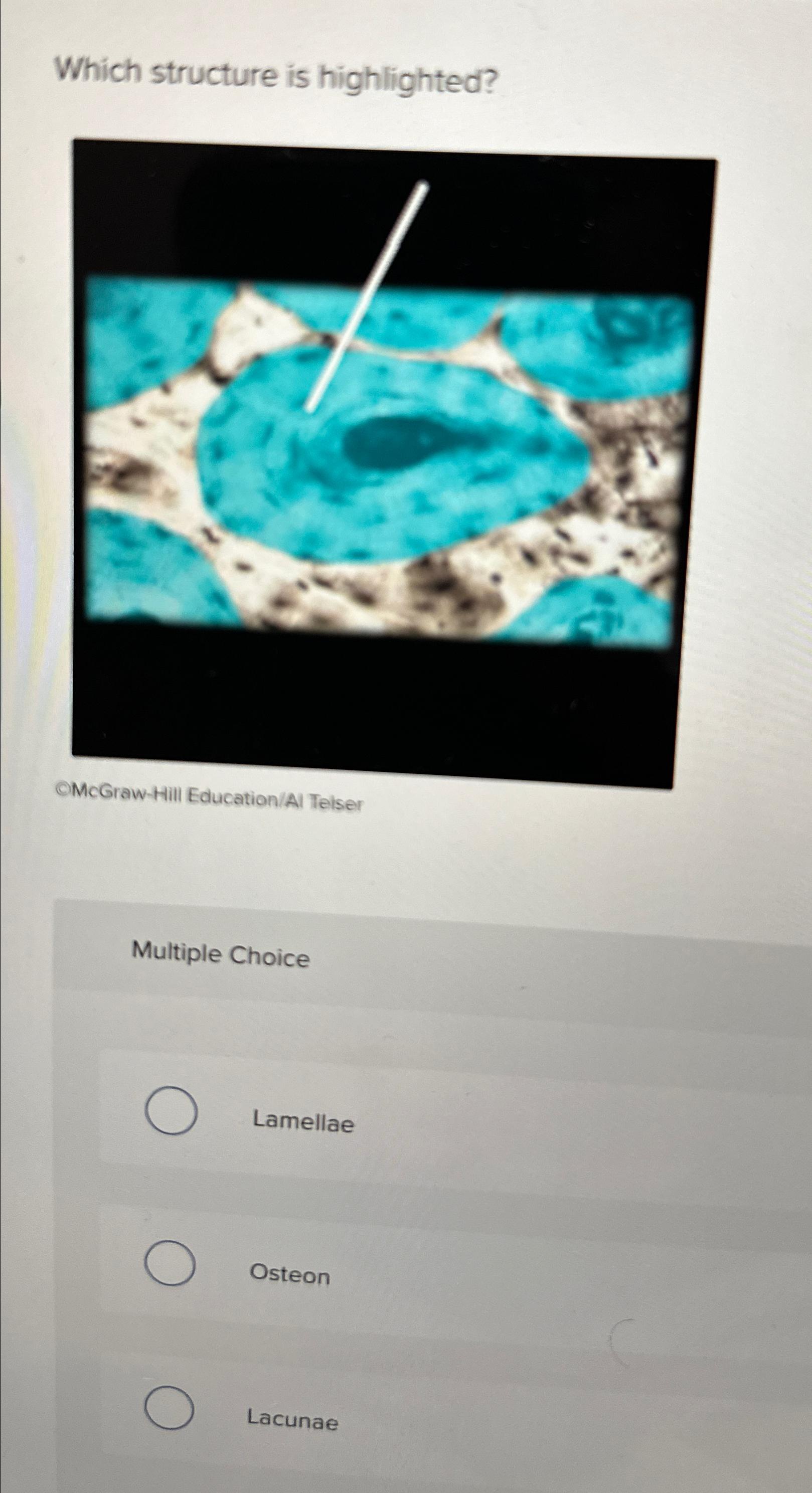 Solved Which structure is highlighted?CMcGraw-Hill | Chegg.com