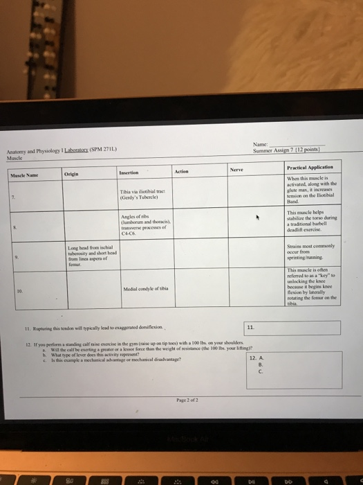 Solved Name: Madison Lusk Summer Assien 7 (12 points Anatomy | Chegg.com